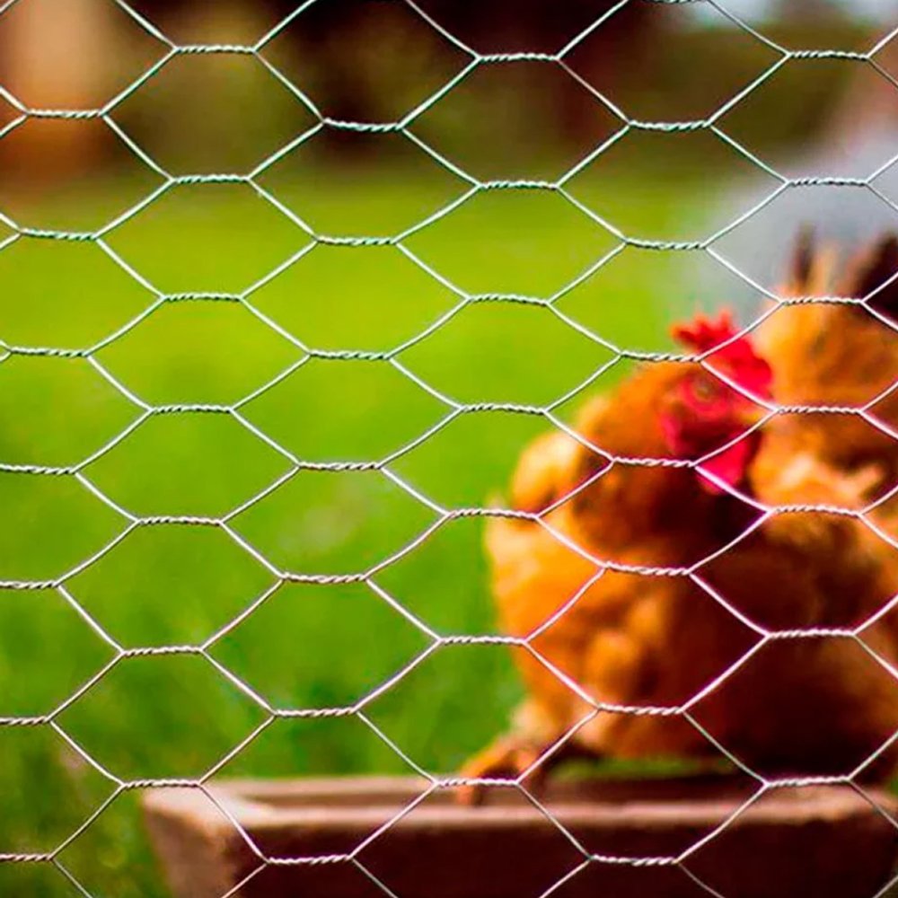 Tela Hexagonal para Galinheiro Malha 2’’, Fio BWG 18 Altura 1,20m, Rolo ...